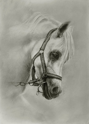 Watercolor Drawing Sketch Drawing Paper For Artist Student 4K Size
