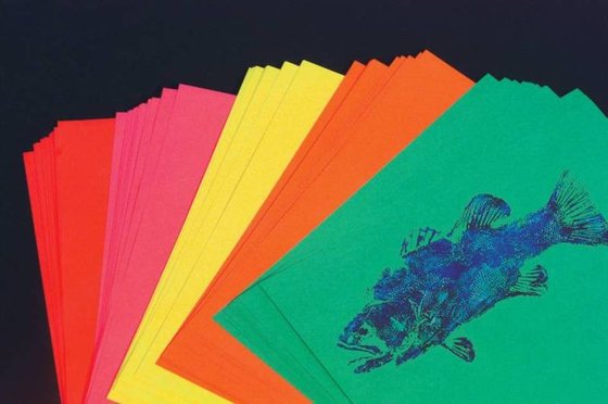 Multi Function A5 Stock Card Paper , Business Greeting Card Stock Paper