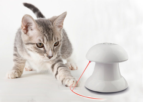 [#varcatename#]