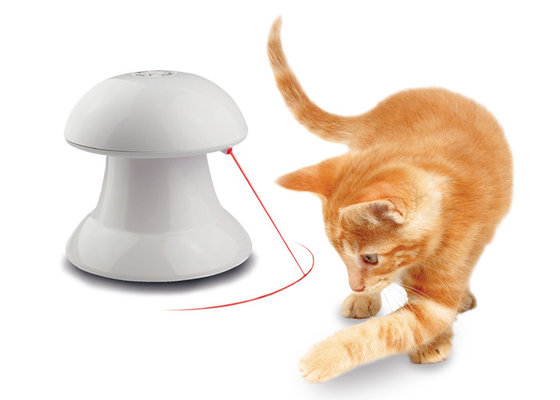 4 Different Speed / Time Setting Dart Automatic Pet Laser Toy For Dogs