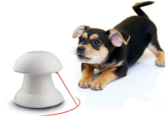Battery Operated Interactive Laser Pet Toy , Automatic Laser Pointer For Cats