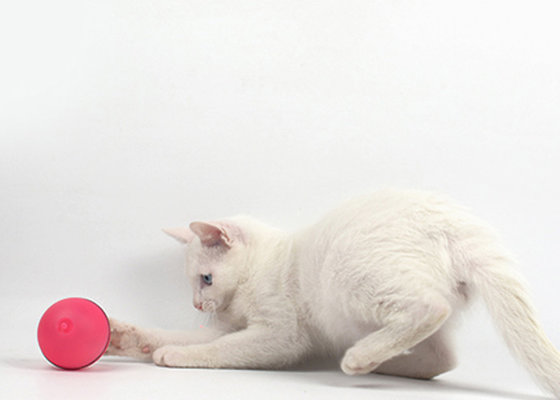 Non Toxic ABS Magic Cat Rolling Ball , Funny Interactive Automatic Cat Toy
