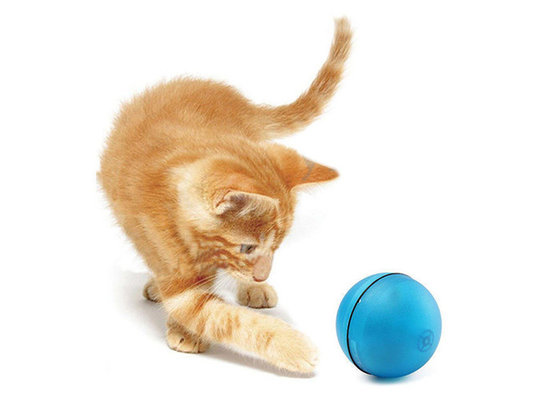 Electronic Auto Motion LED Ball Cat Dog Pet Toys