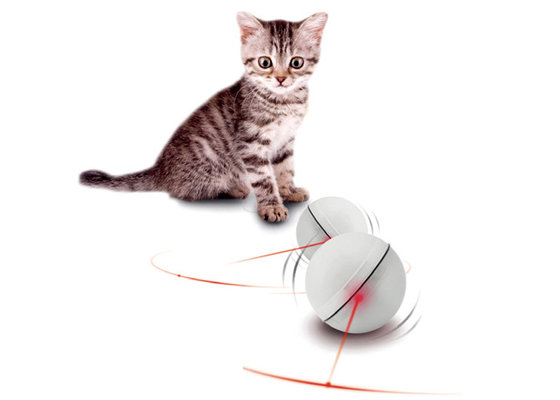 Cat Pet Dog Toys Non Toxic ABS Magic Ball, 2.5 inches