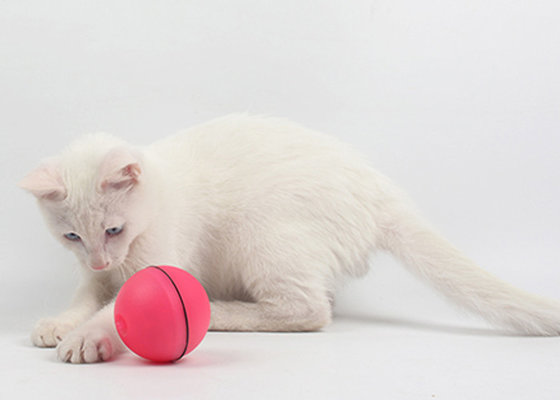 Wobble Chaser Play Battery Operated Cat Toys Plastic Material With 3 Batteries