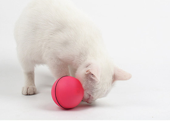 6 Pcs Battery Operated Cat Toys Red Color Funny Rolling Puppy Toy For Indoor
