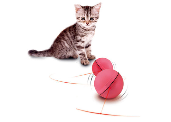 Eco Friendly Plastic ABS Rolling Cat Toy , White / Blue / Red Dog Toy Ball