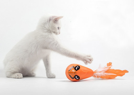 Self Vibrating Tumbler Wobble Cat Toy Green / Orange / Purple / Blue With Feather