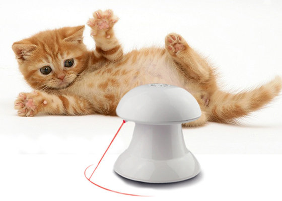 Battery Operated Interactive Laser Pet Toy , Automatic Laser Pointer For Cats