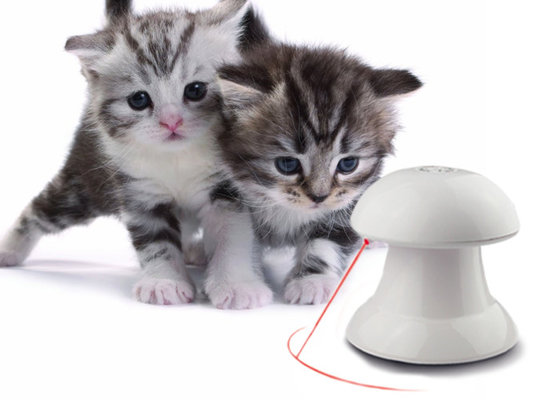 Automatic Rotating Cat Laser Toy In White Color With 4 Speed / Time Setting