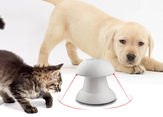 4 Time Setting Interactive Cat Exercise Toys , Double Automatic Laser Cat Toy