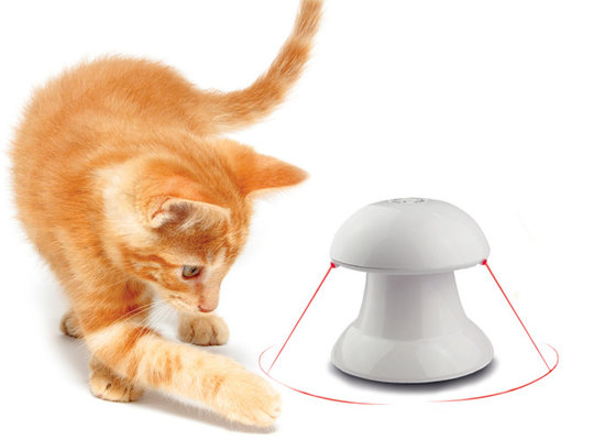4 Time Setting Interactive Cat Exercise Toys , Double Automatic Laser Cat Toy