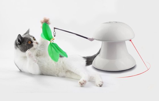 Exerciser Original 2 In 1 Cat Laser Toy For Pet Amusement CE Approved