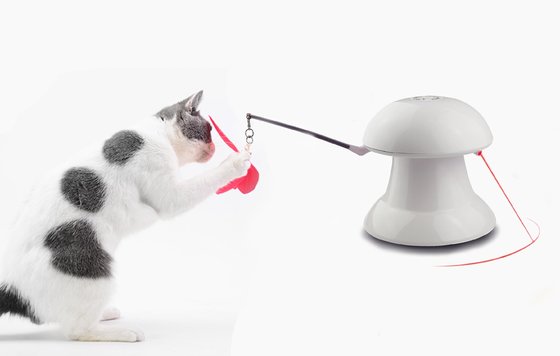 Exerciser Original 2 In 1 Cat Laser Toy For Pet Amusement CE Approved