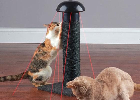 Black Color Cat Laser Toy Red Point Light Cat Scratching Post Pets At Home
