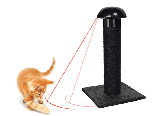 Black Color Cat Laser Toy Red Point Light Cat Scratching Post Pets At Home