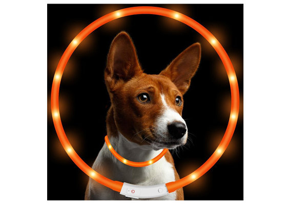 Water Resistant LED Dog Collar USB Rechargeable Glowing Petsafe Small Dog Collar