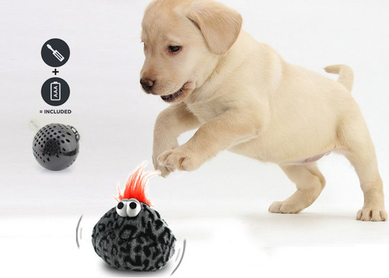 Battery Operated Jumping Pet Toy , Indoor Automatic Bouncing Dog Toy