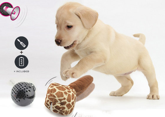 Random Moving Rolling Dog Toy , Self Entertaining Dog Toys For Entertainment
