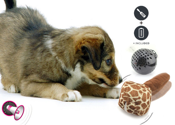 Eco Friendly Plastic Dog Toys , Interactive Durable Dog Balls For Training