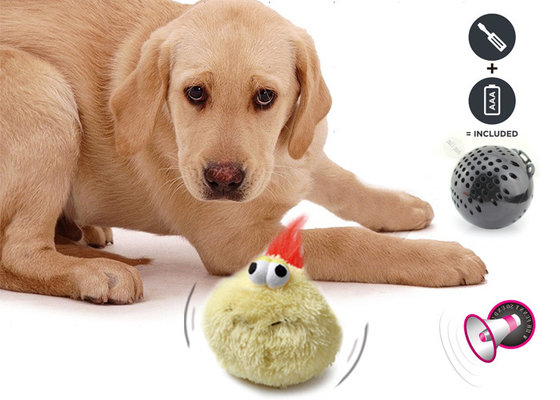 Multi Colors Electric Dog Training Ball , Interactive Bouncer Plastic Pet Toys