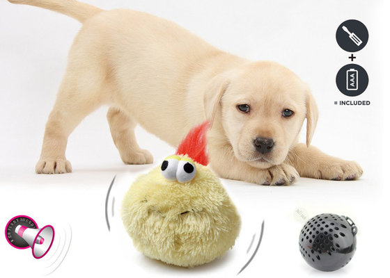 Multi Colors Electric Dog Training Ball , Interactive Bouncer Plastic Pet Toys