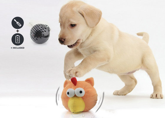 Indoor Battery Operated Puppy Toys , Motion Activated Plastic Cat Balls