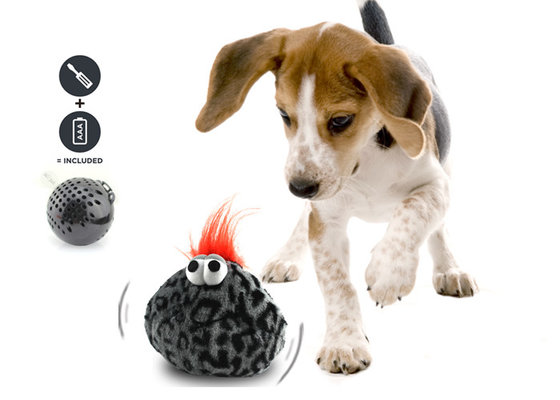 Lovely Shaking Jumping Squeaky Dog Ball , Motorized Ball Dog Toy With Batteries