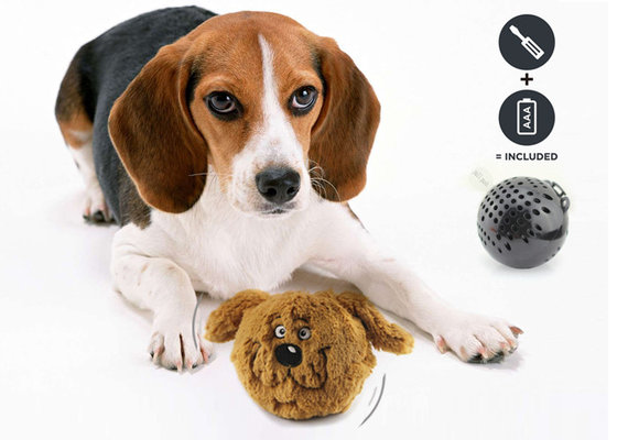 Small Bouncy Dog Entertainment Toys , Cool Plastic Dog Throw Toys For Dog Playing