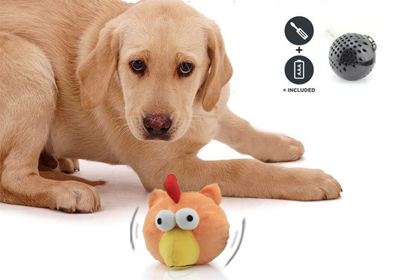 Indoor Battery Operated Puppy Toys , Motion Activated Plastic Cat Balls