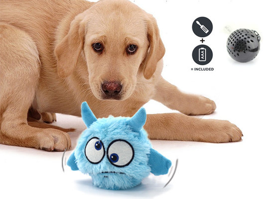 Blue Funny Plastic Dog Balls Non Toxic For Exercise Jumping / Bouncing