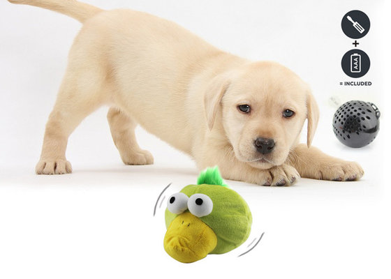 Automatic Interactive Plastic Dog Balls Toys With Puppy Battery Operated