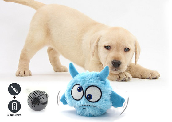 Auto Bounce / Squeaky Plastic Dog Balls Toys Easy Play With Plush Cover