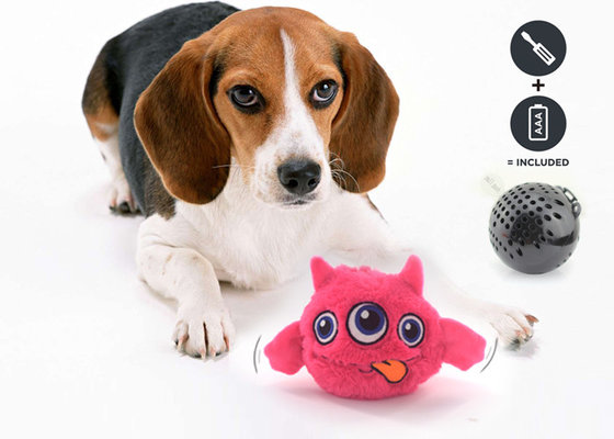 Non Toxic Dog Entertainment Toys , Indoor Plastic Material Pet Dog Toy