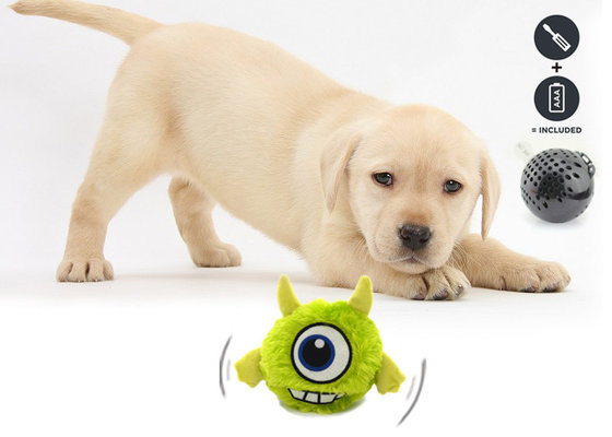 Electric Crazy Bouncer Battery Operated Dog Toy Plastic Ball For Pet Dog Gifts