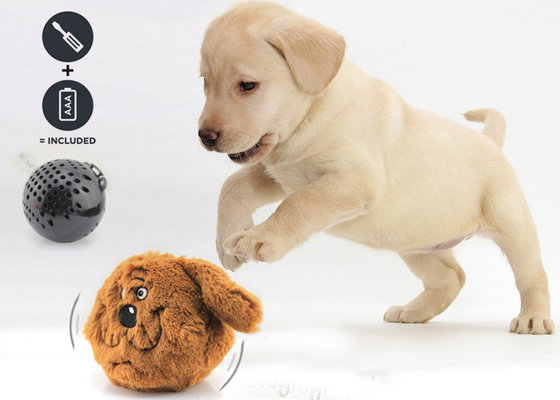 Durable Battery Operated Dog Toy Randomly Jumping For Entertainment / Exercise