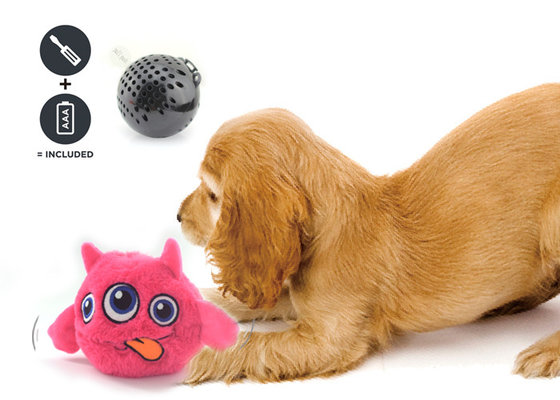 Non Toxic Dog Entertainment Toys , Indoor Plastic Material Pet Dog Toy