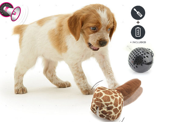 Lovely Interactive Dog Toys , Battery Operated Automatic Dog Toy For Entertainment