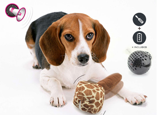 Crazy Bouncer Motion Activated Dog Toys 20 - 25cm Length For Exercise