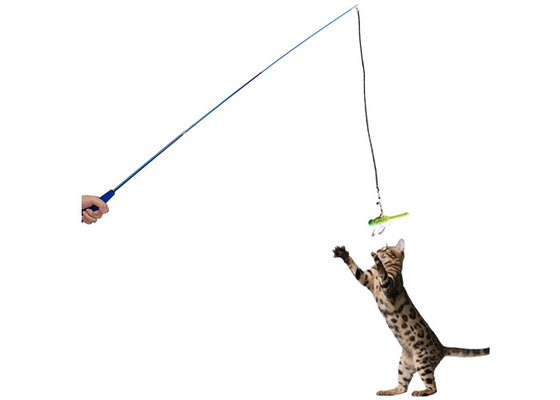 Funny Flexible Cat Feather Toys / Cat Bird Toy With Durable Fishing Line