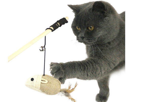 Double Feather Cat Toy Wand Retractable With Bell Long Elastic String