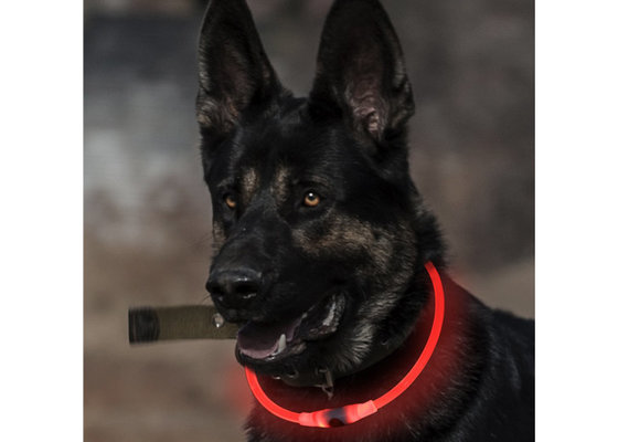 Fashion LED Dog Collar USB Rechargeable Glowing Petsafe Dog Collar For Night Safety