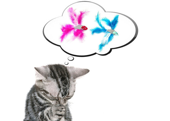 Polycarbonate Material Cat Feather Toys / Popular Cat Toys For Kitty Exercising