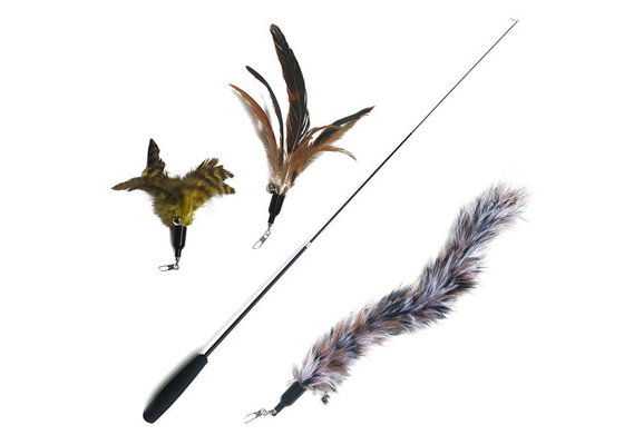 Odor Free Cat Feather Toys Retractable Wire Cat Toy With Cute Pendant / Bell