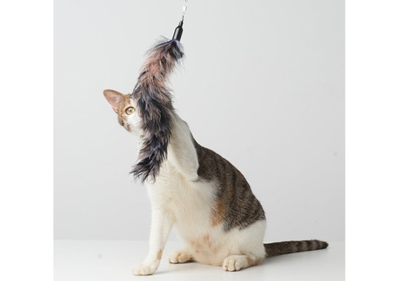 Odor Free Cat Feather Toys Retractable Wire Cat Toy With Cute Pendant / Bell