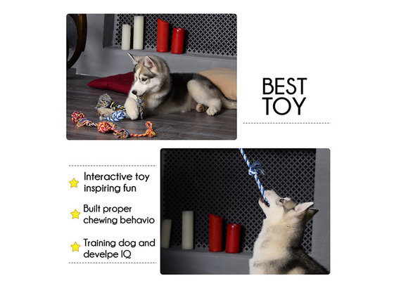 Funny Dog Rope Toys Non Toxic Materials Puppy Teething Toys For Entertainment