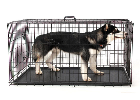 Customized Powder Coated Black Color Round Pipe Dog Kennel Size 6'H x 4'L x 8'W