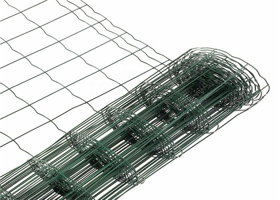 Green PVC Coated holland wire mesh /dutch wire mesh/Euro fence netting