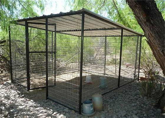 Various sizes stainless steel dog cage dog cages metal kennels outdoor cage