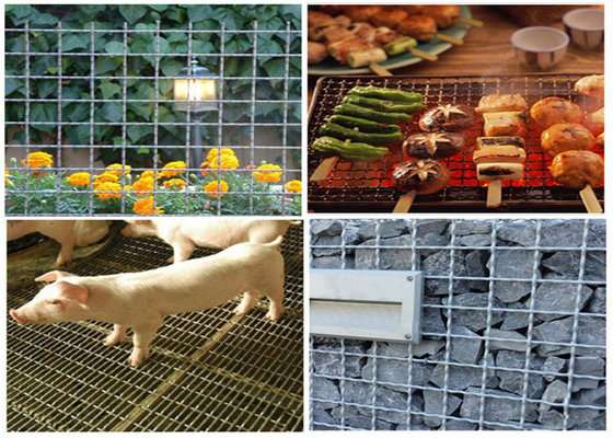 petrochemical industry  hot Dipped Galvanized Wire/SUS304 plain weave  Crimped Wire Mesh